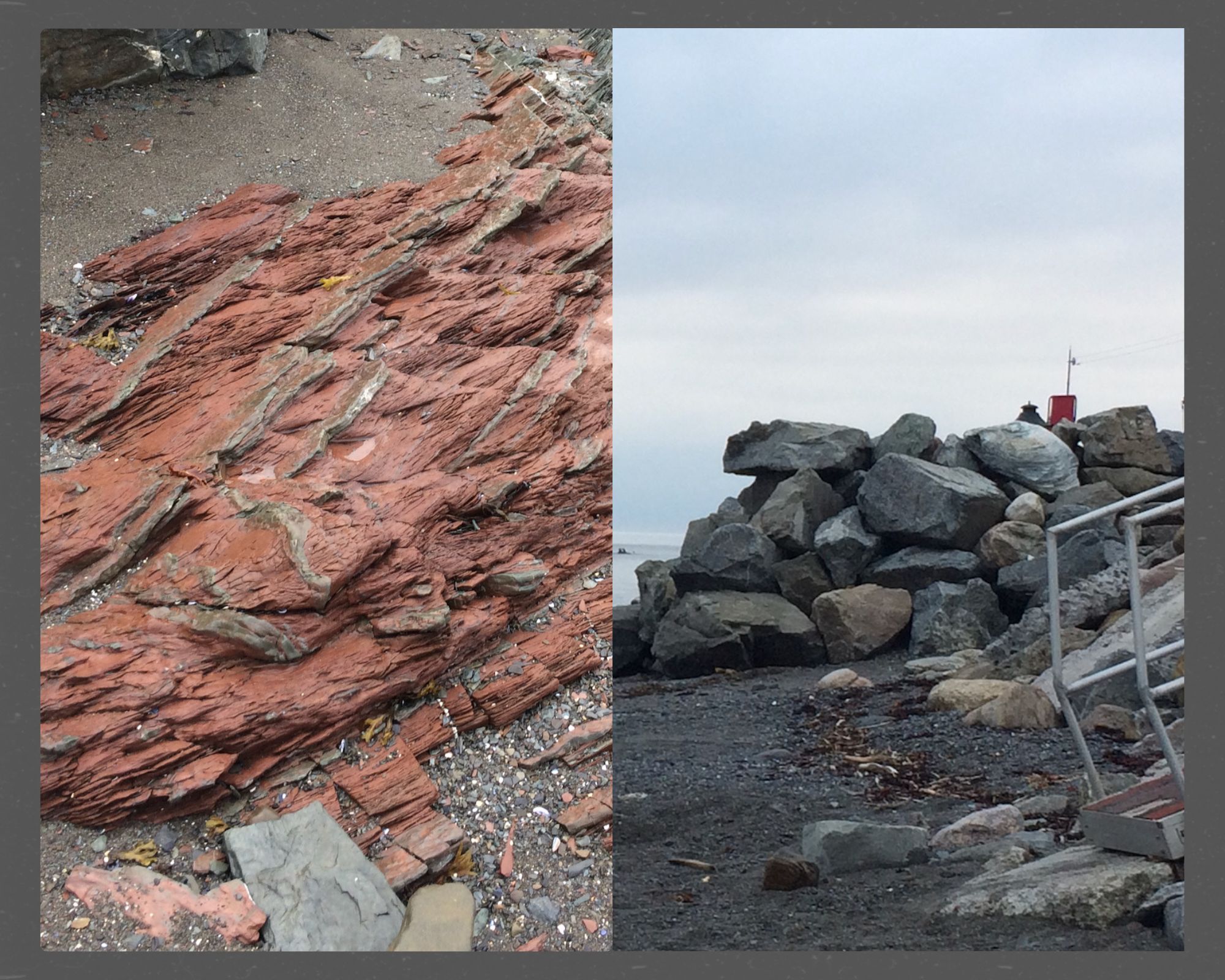 Eco-anxiety, resilience, and the Lower Saint Lawrence | FontMag